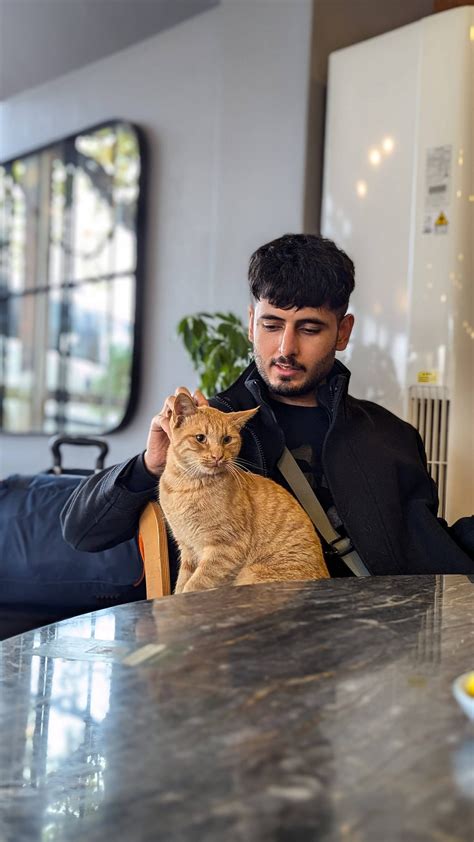 Why Istanbuls Streets Are Filled With Cats 🐱 By Piyush Doorwar 💻