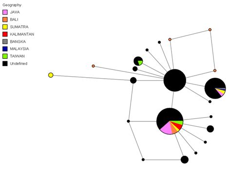 Minimum Spanning Network Depicting Relationships Among 16s Haplotypes Download Scientific