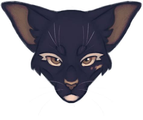 Draw The Warrior Cats Oc Above You In 24 Hours On Toyhouse