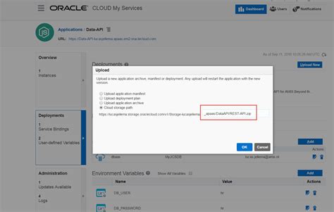 Publishing Applications To Application Container Cloud Service From