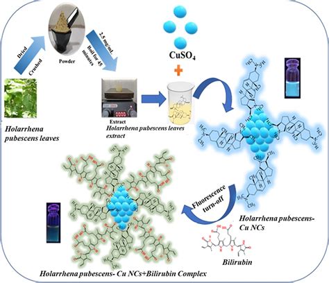 Biosynthesis Of Copper Nanoclusters For Fluorescence Detection Of