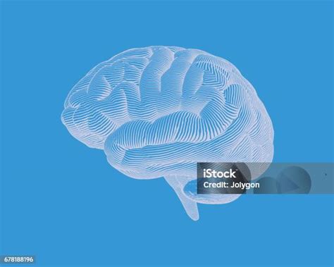 블루 Bg에 두뇌 그림 조각 골동품에 대한 스톡 벡터 아트 및 기타 이미지 골동품 일러스트레이션 가장자리 Istock