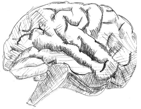 Michael Pratte Perception And Cognitive Neuroscience Lab
