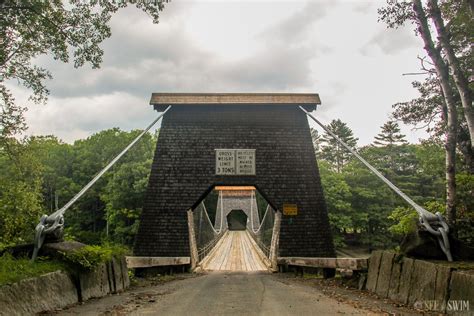 Wire Bridge See Swim