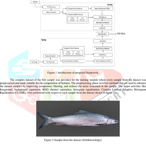 Figure From Automatic Fish Analysis And Classification Using Ai Approach Semantic Scholar
