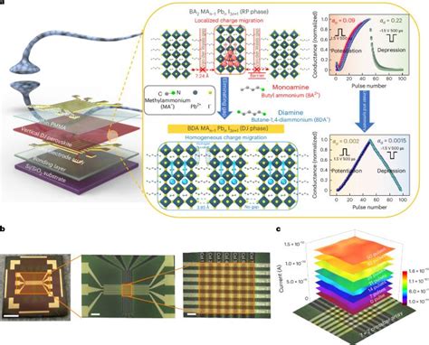 Sensi Tech Hub On Linkedin Linearly Programmable Two Dimensional Halide Perovskite Memristor