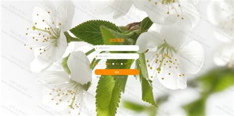 基于springbootvue的论坛系统前后端分离含参考论文开题报告等 基于springbootvue的论坛系统前后端分离含参考论文开题报告等