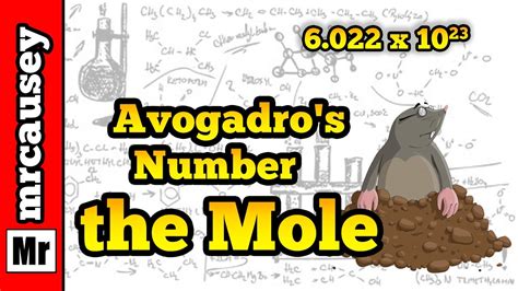 Avogadros Number And The Mole