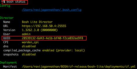 Install Cloud Foundry On Bosh Lite By Ravi Jagannathan Medium