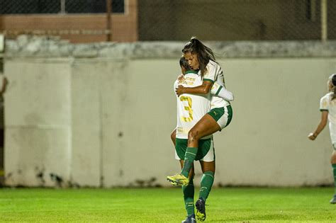 Cruzeiro X Palmeiras Feminino Palpite 06052024 Brasileiro🍄