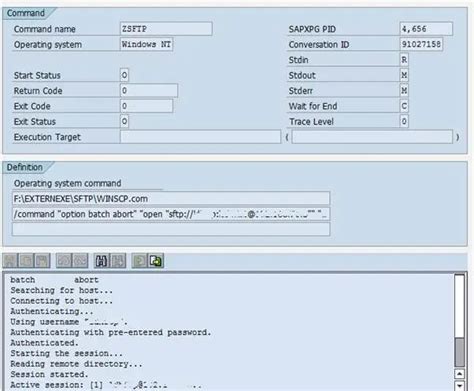 matinal：sap abap 访问sftp服务器，使用winscp client实现访问 abap sftp csdn博客