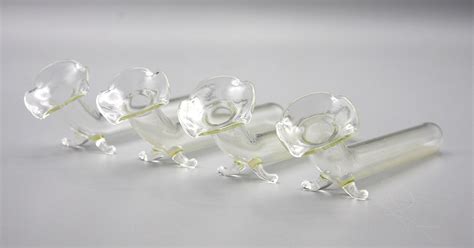 People Confused Over Identifying Strange ‘glass Dumbbell Secret Life