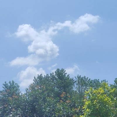 小奶猫猫 on Twitter 笑死了 家人们 我现在是白虎b了 https t co 0QAEnO114a Twitter