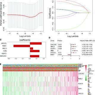 Construction Of A Prognostic Related Signature By The LASSO Regression