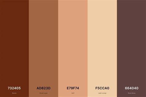 25 Best Terracotta Color Palettes With Names And Hex Codes