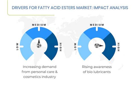 Fatty Acid Esters Market Industry Insight 2020 2030