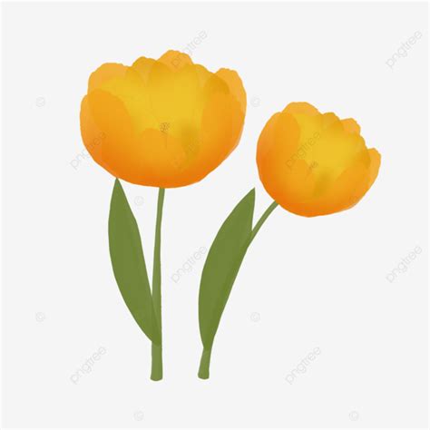 Yellow Watercolor Flowers Flower Watercolor Yellow Flower Yellow