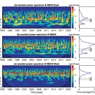 Rectified Wavelet Power Spectrum In Logarithm Base For The