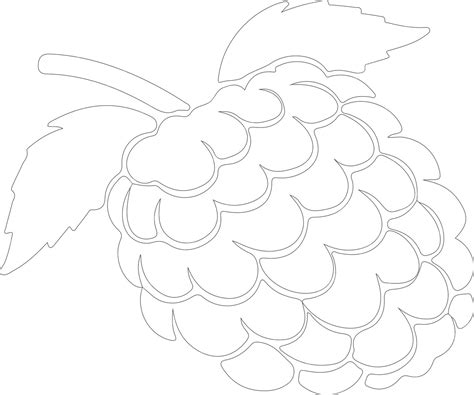 Premium Vector Raspberry Outline Silhouette White Background