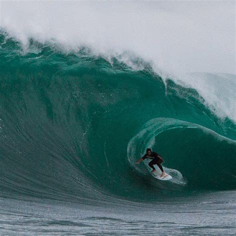 Danielle Eckert Danielleeckert Twitter