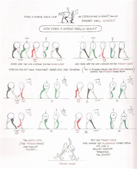 Quadruped Walk Cycle Tutorial Animation Tutorial