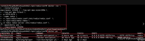 Docker 安装 Redis 容器docker Redis容器 Csdn博客