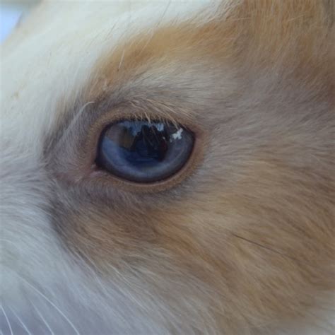 Doraemon Tv Show Youtube