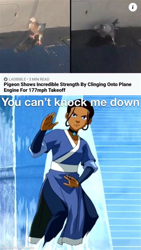 You Cant Knock Me Down Ravatarmemes