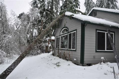 On Linkedin Does Homeowners Insurance Cover Tree Damage