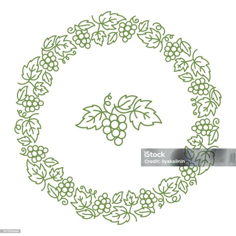 포도 나무 원형 프레임 꽃 장식입니다 굵은 선 패턴 포도 가지와 잎 편집 가능한 윤곽선 획 벡터 선입니다 0명에 대한 스톡 벡터 아트 및 기타 이미지 Istock