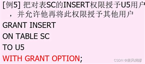 数据库原理 第四章：数据库安全性 数据库系统概论educoder第4章数据库安全保护csdn博客 csdn博客