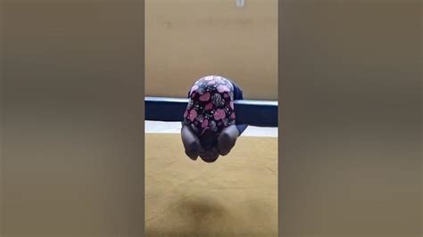 Lazy Gymnast Youtube