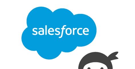 ninja forms salesforce crm addon 3 3 4