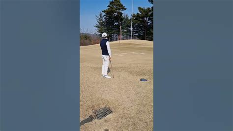 필드핸디 제로친구 딱15미터😱ㅋ 골프 골프존 스크린골프 nx 골프존cc 필드 필드골프 필드레슨 웨지 퍼터 아이언비거리 골프레슨