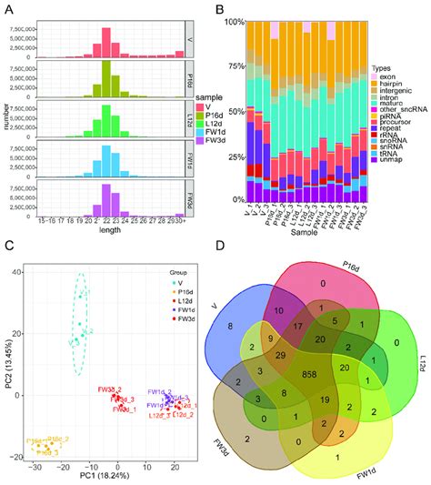 Overview Of The Small RNA Sequencing Data A Distribution Of Total Download Scientific