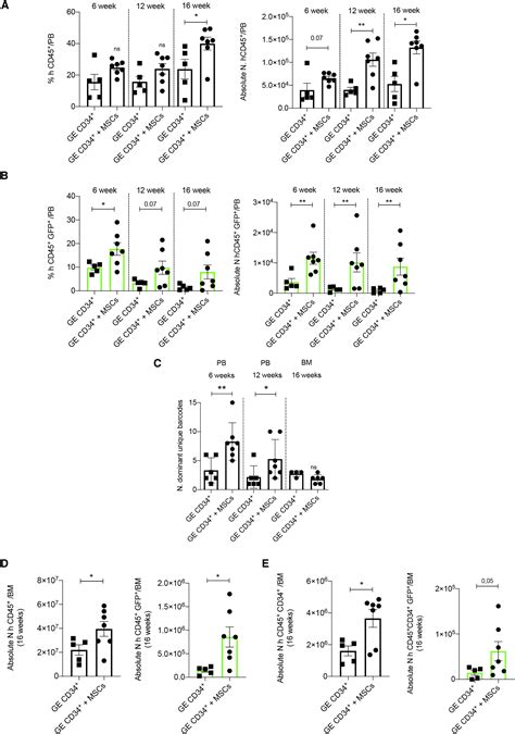 Mesenchymal Stromal Cells Improve The Transplantation Outcome Of Crispr Cas9 Gene Edited Human