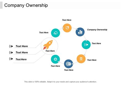 Company Ownership Ppt Powerpoint Presentation Gallery Example