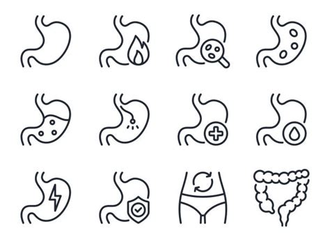 69300 Stomach Stock Illustrations Royalty Free Vector Graphics
