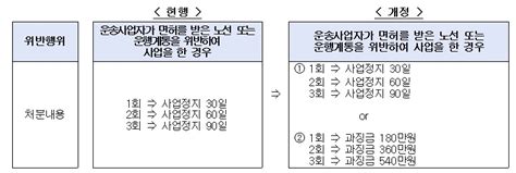 시행령 개정 전‧후 위반행위 따른 처분 예시