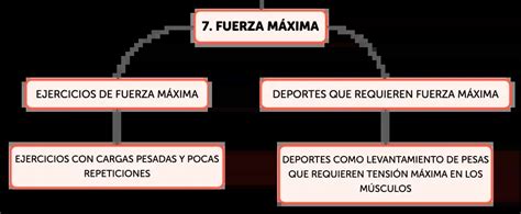 Capacidades Físicas Condicionales Definición Y Tipos Algor Cards