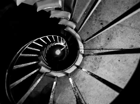 Shell Shape Welwyn Garden City Photographic Club