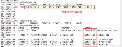探索开源的容器引擎 Docker容器操作 Csdn博客