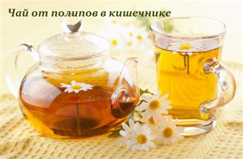 Чай от полипов в кишечнике