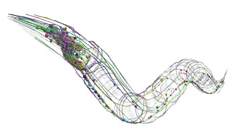 What Happens When You Put A Worms Brain Inside A Robot Giant