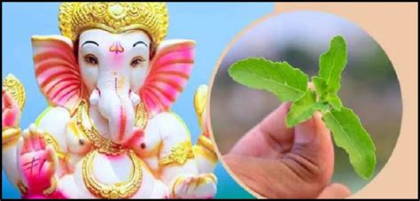 Ganesh Chaturthi गणेश जी की पूजा में क्यों नहीं अर्पित की जाती है तुलसी