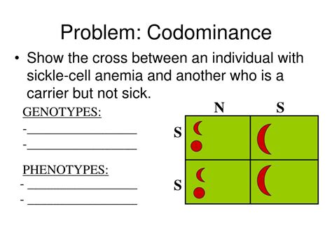 PPT Genetics In A Nutshell Incomplete Dominance Codominance And Multiple Alleles PowerPoint