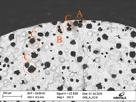 Graphite Clusters At A Fatigue Fracture Surface Picture By Scanning