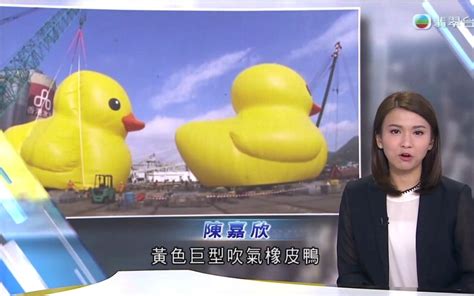 【粤语tvb】大黄鸭时隔十年重临香港 平平无奇很透明 平平无奇很透明 哔哩哔哩视频