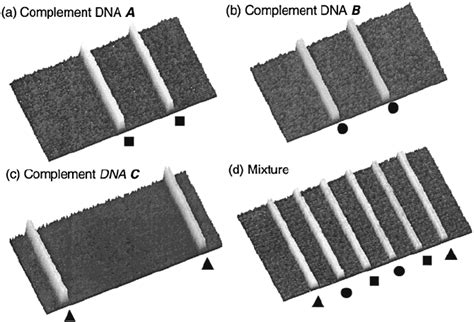 Spr Difference Images Showing The Hybridization Of Target Dna Onto An