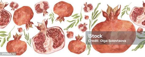 수채화 이음새 이음새 테두리 와 석류 과일 와 녹색 잎 와 백색 배경 고립된 와 석류와 손으로 그린 과일 리본 가을에 대한 스톡 벡터 아트 및 기타 이미지 Istock